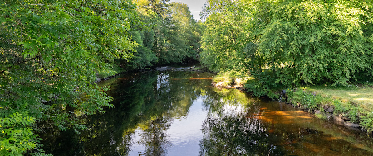 Angling in Sunart - Sunart Community Company